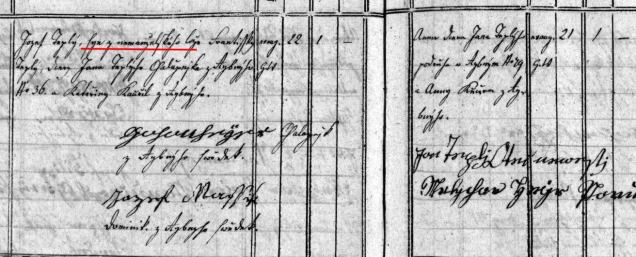 15 – Josepha, and Illegitimate Children – Family Nibbles