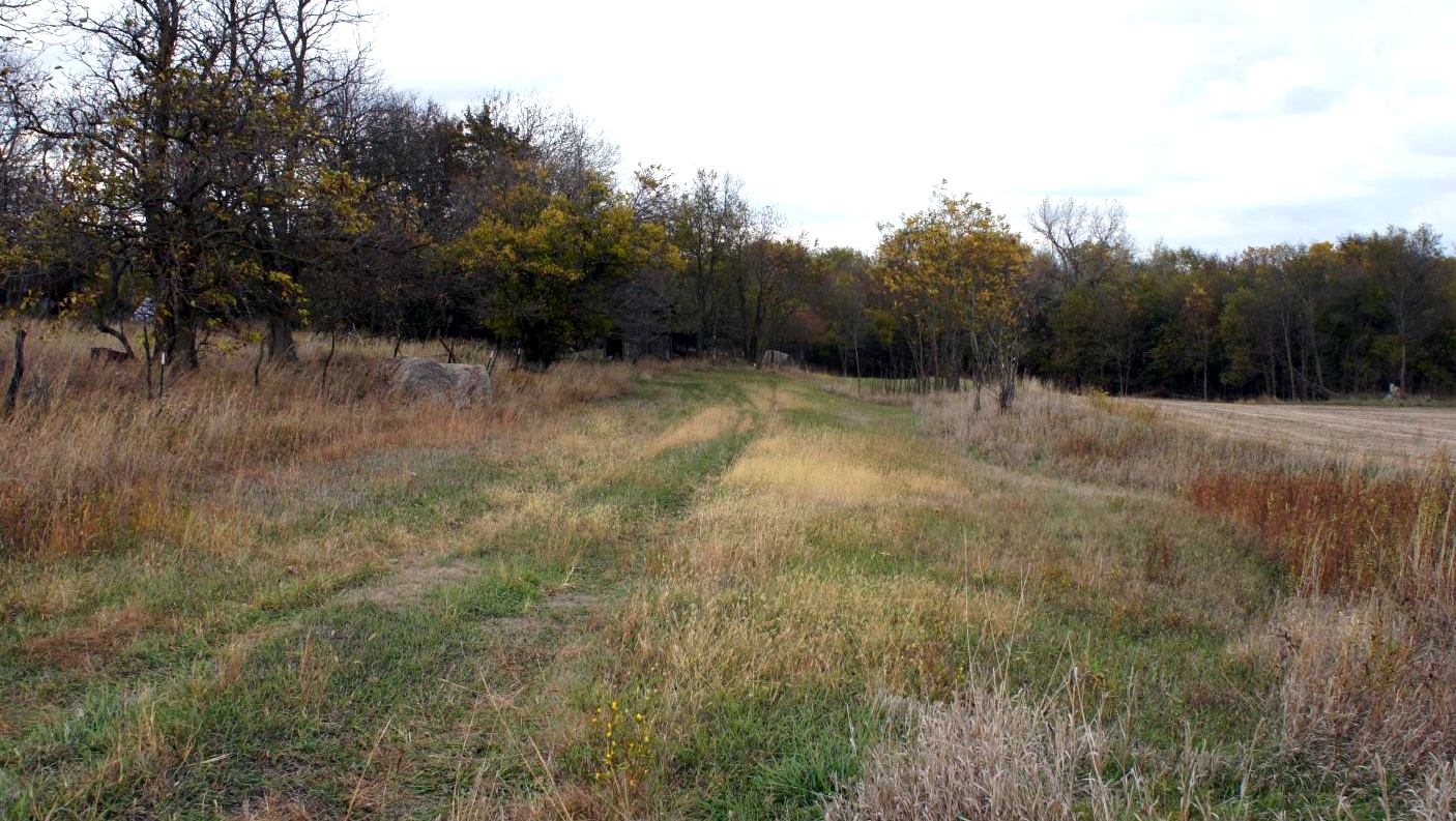 36 – One Teply in Kansas – Family Nibbles