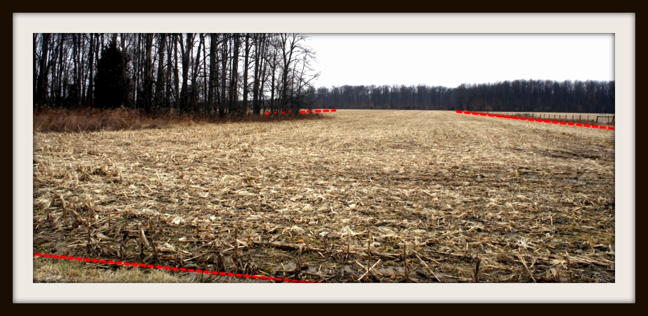 142 – Long Term Care, Move to Ripley – Family Nibbles