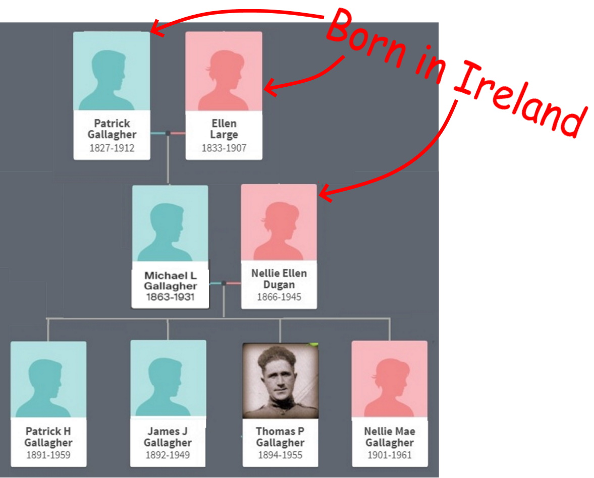 222 – Gallaghers and Ireland – Family Nibbles