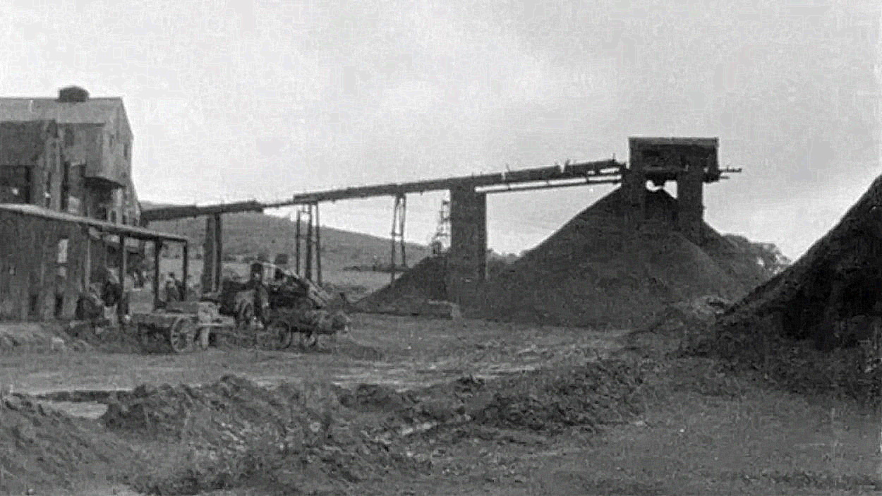 Castlecomer – Family Nibbles