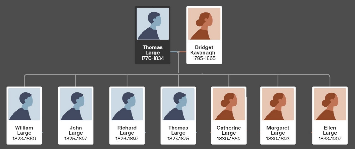 Large – Family Nibbles