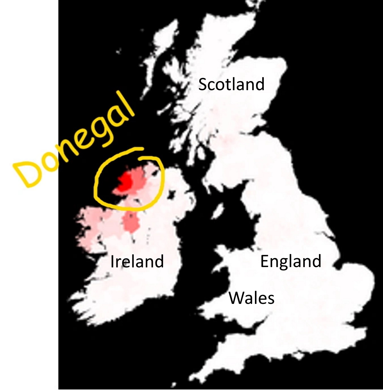 223 – Gallagher and Donegal – Family Nibbles